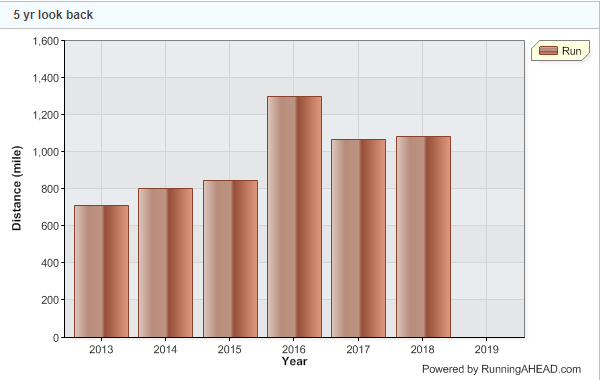 2018 Goal Accomplished. Now on to 2019! – The Real ART of Running