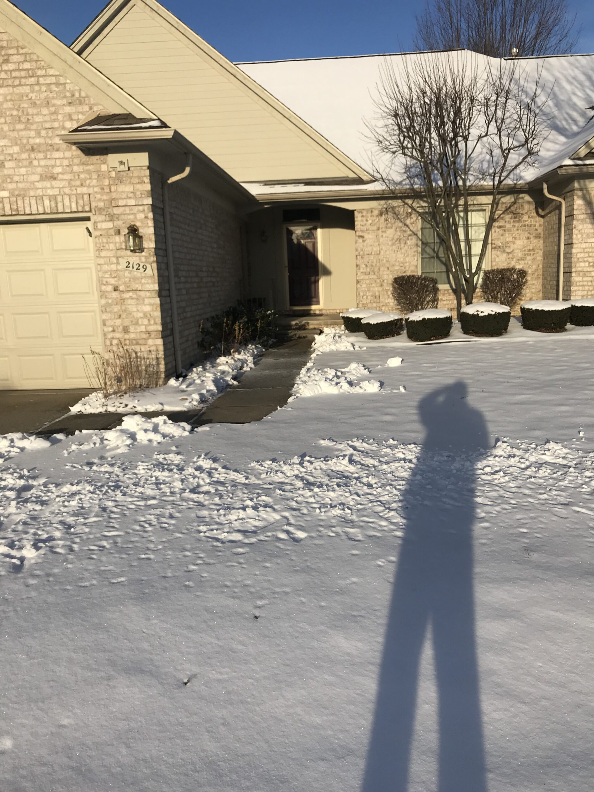 Embracing Winter Running Is Easier In The Sunshine – The Real ART of ...